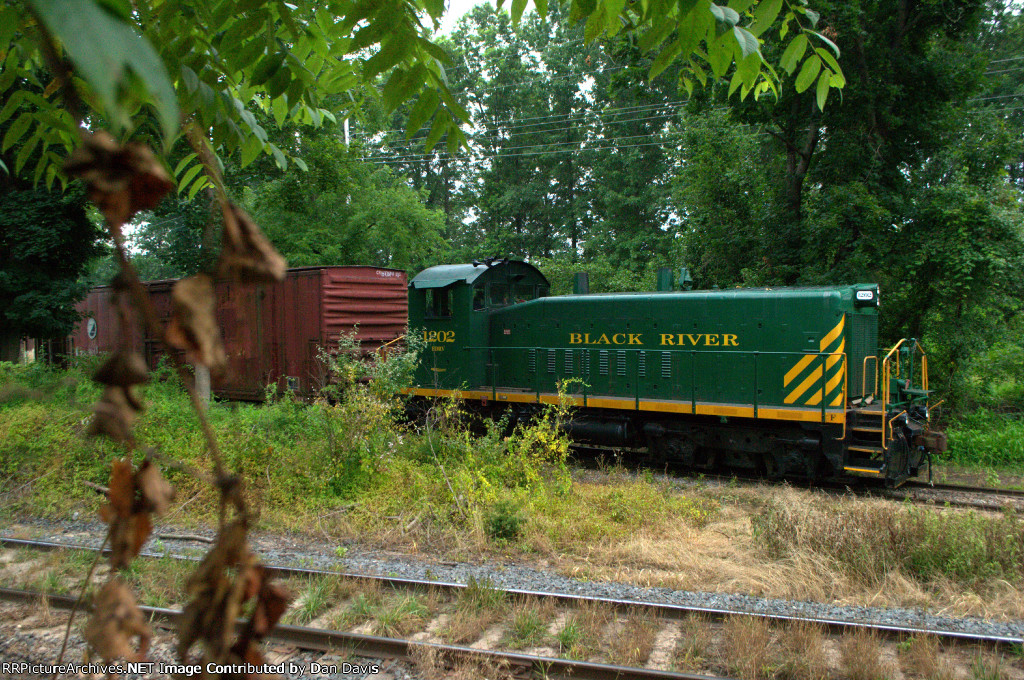 BR W 1202 br-w-1202